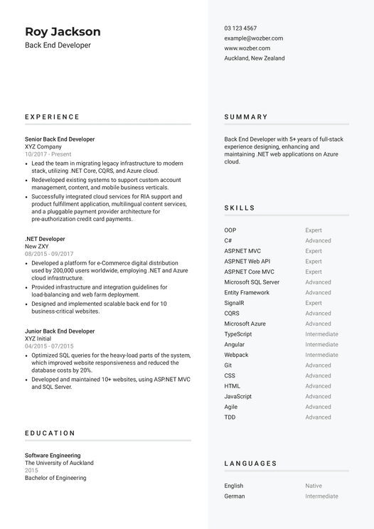 Modern Resume Examples | Wozber