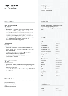 Modern CV Examples | Wozber
