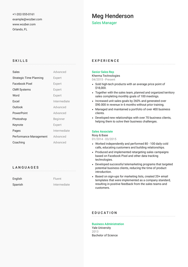 modern-cv-examples-wozber