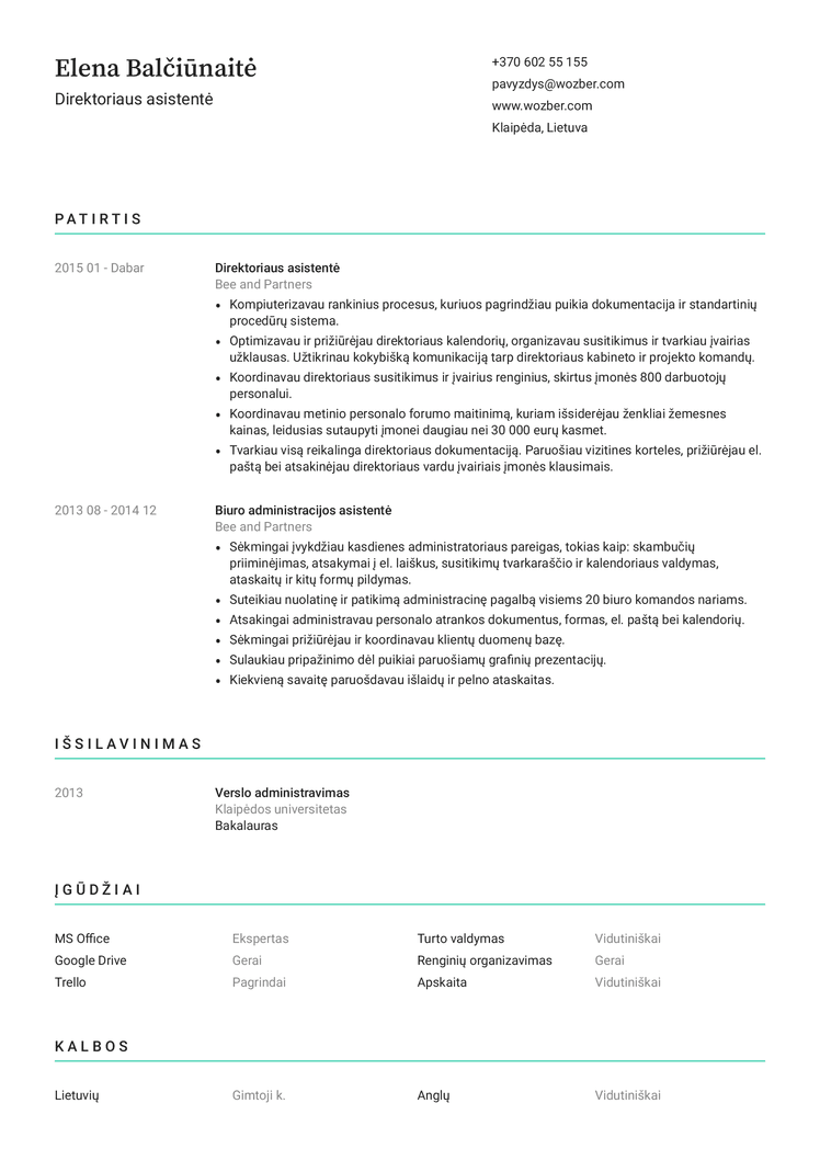 Back-End programuotojo CV pavyzdys (anglų kalba)