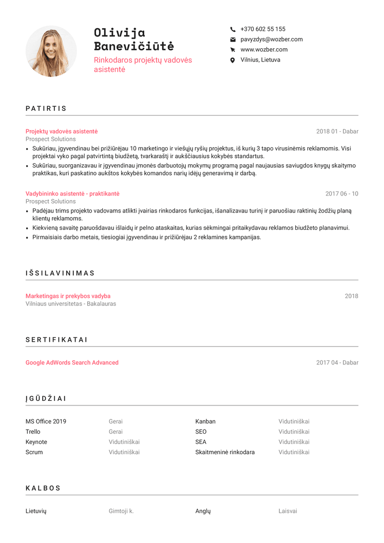 Darbo Sutarties Pavyzdys 2023 - Printable Forms Free Online
