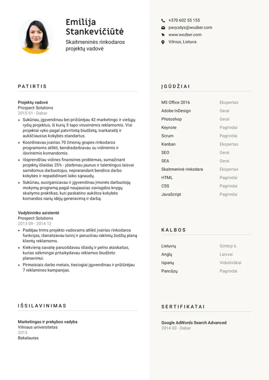 Modernūs CV pavyzdžiai | Wozber