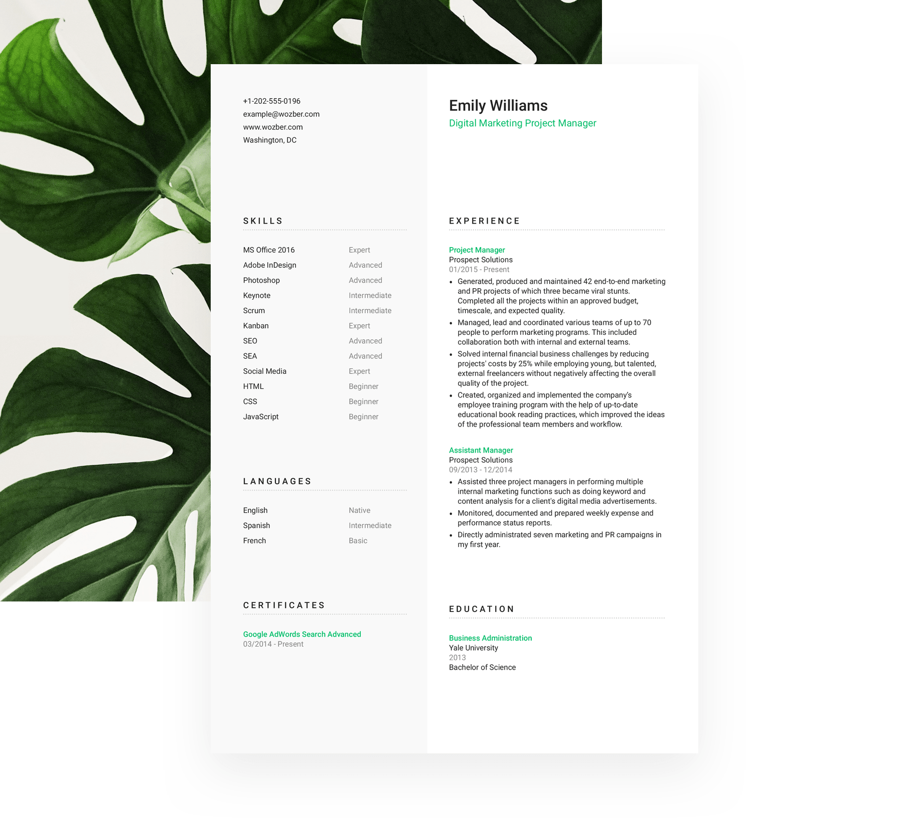 Free Resume Template #14 | Wozber