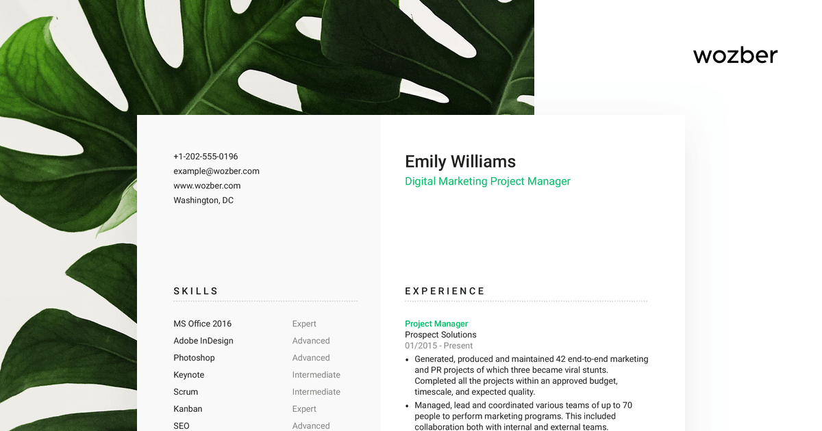 Free CV Template #14 | Wozber