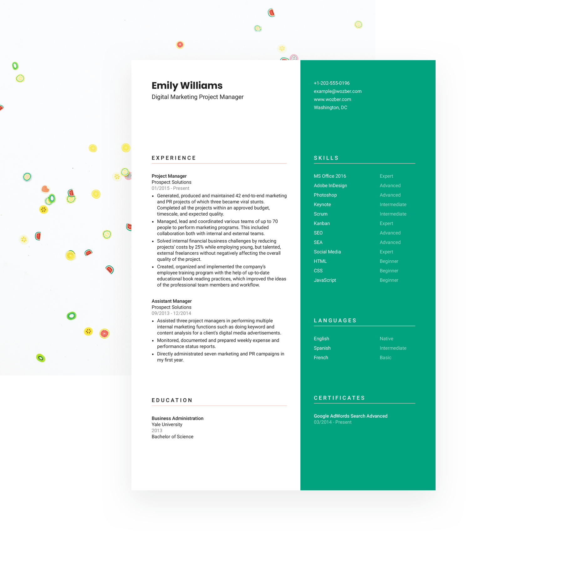 Free Resume Template #16 | Wozber