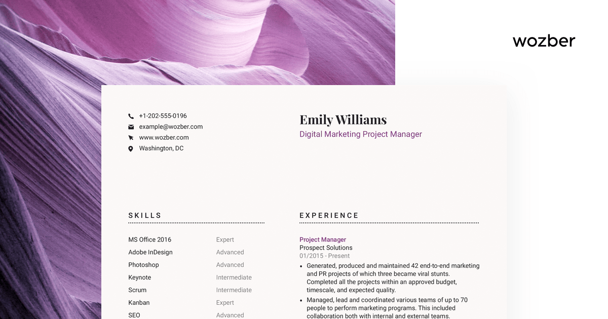 Free Resume Template #20 | Wozber