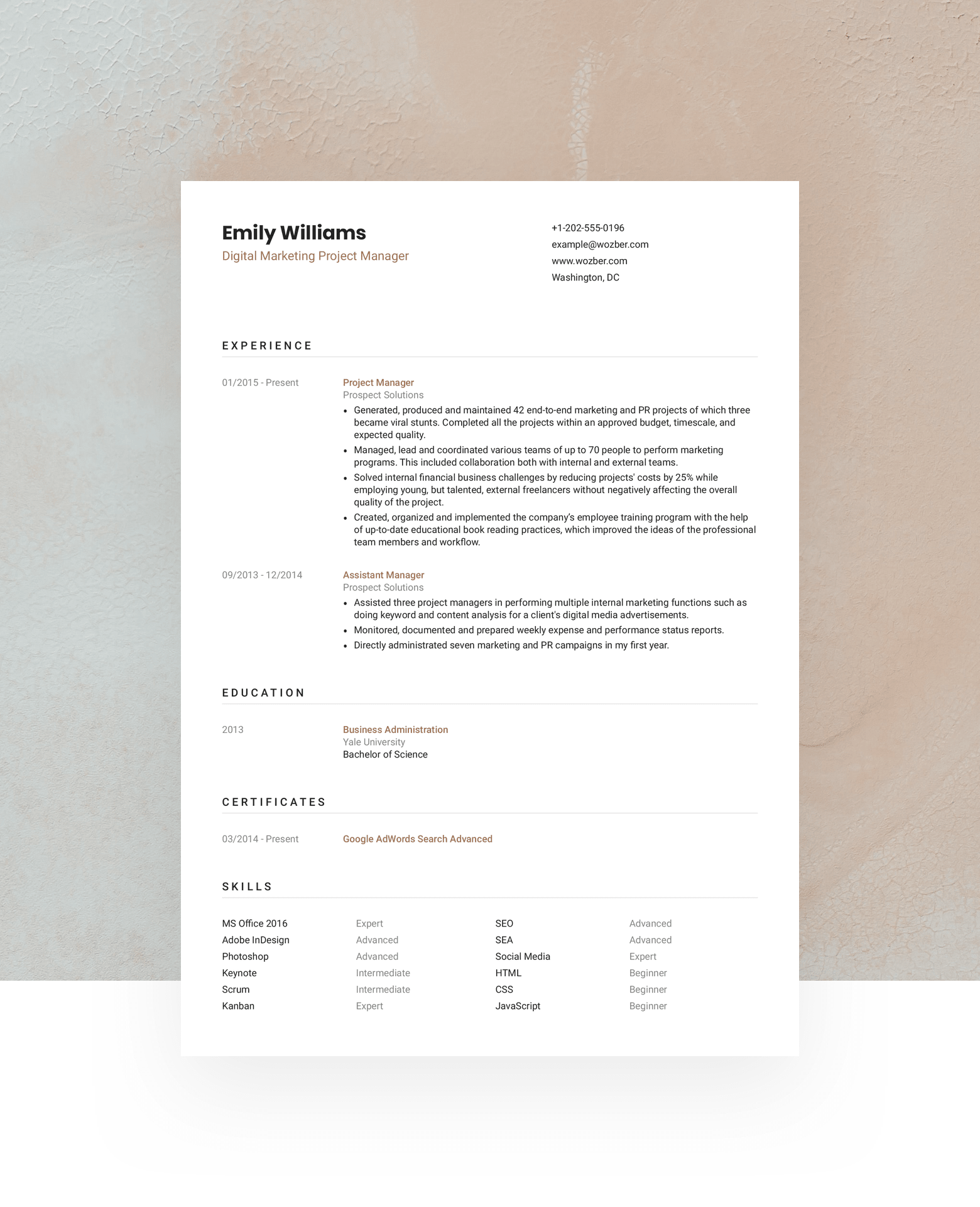Free Resume Template #2 | Wozber