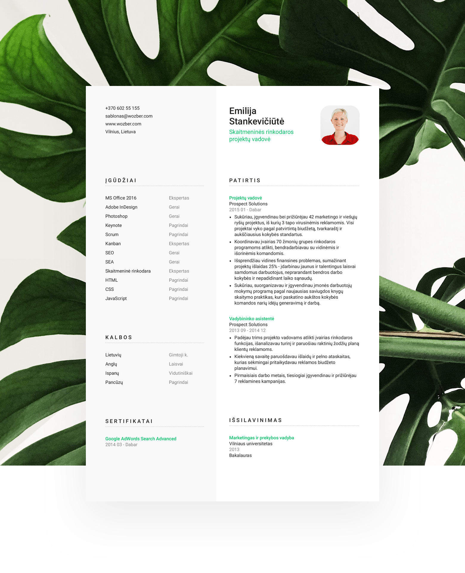 Nemokamas modernaus CV kūrimo įrankis | Wozber