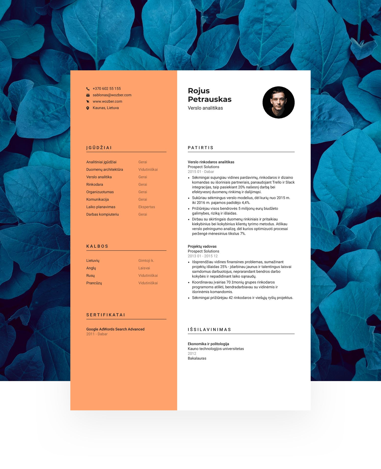 Nemokamas modernaus CV kūrimo įrankis | Wozber